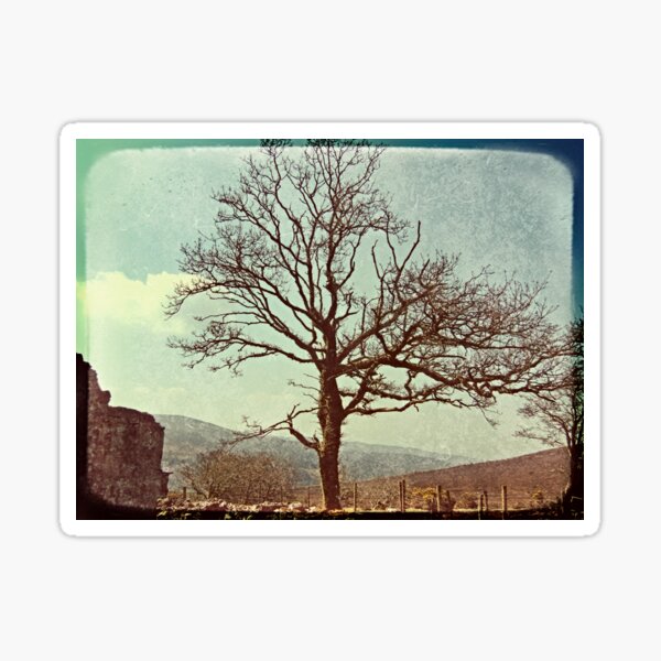 "Vintage Tree" Sticker by Juka14 | Redbubble