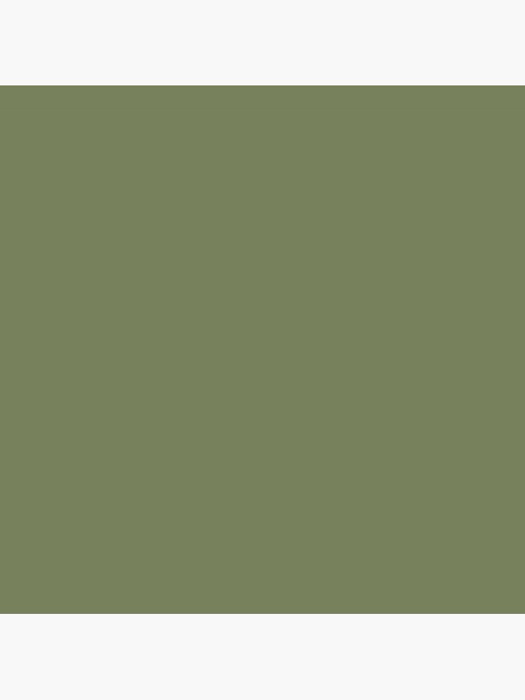 "Sage Green Solid Color" Poster by AmazingStuff01 | Redbubble
