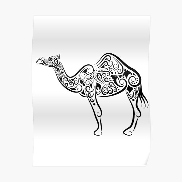 "Camel" Poster for Sale by valhalla-store | Redbubble