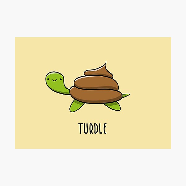 "Turdle" Photographic Print for Sale by weltenraser | Redbubble