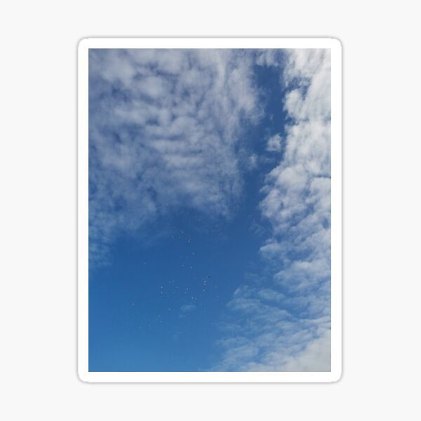 "Sky sky" Sticker for Sale by zouid | Redbubble