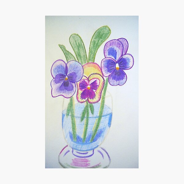 "Pansies - Pencil Drawing" Photographic Print by Vitta | Redbubble