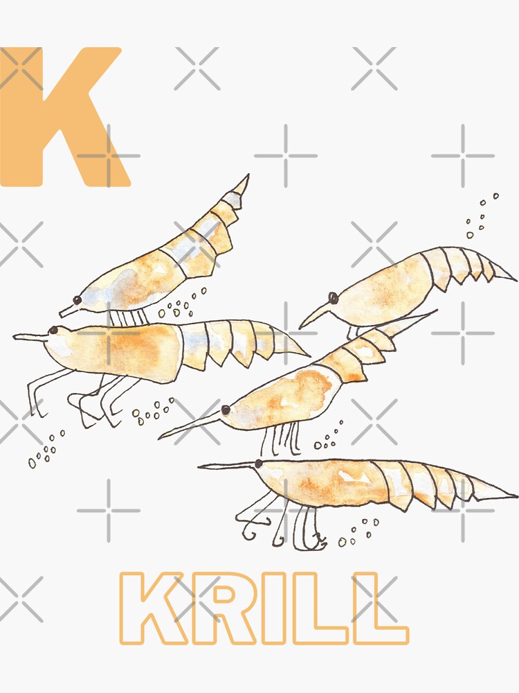 "Krill Starts with K Ocean Animals Alphabet Letter K" Sticker for Sale ...