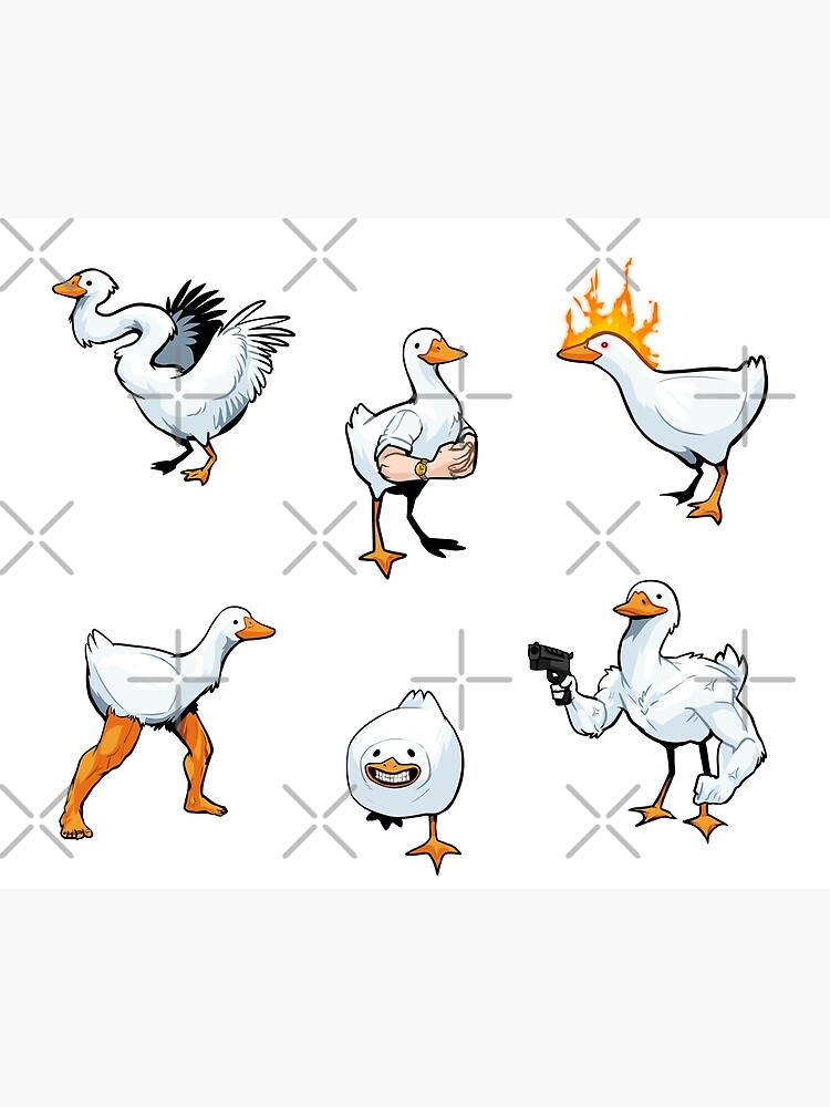 Cursed Images Of Ducks