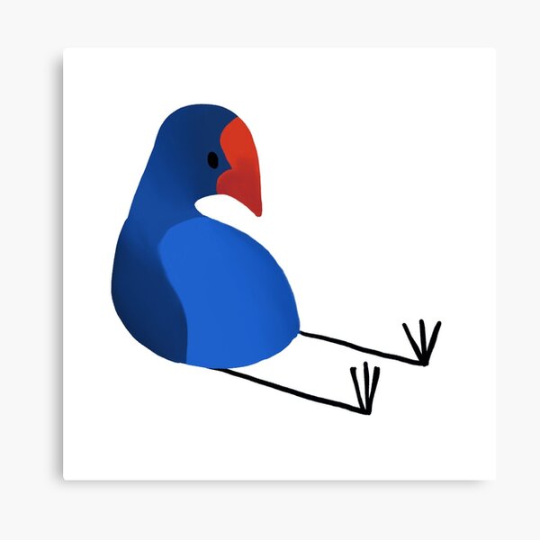 Pukeko Canvas Prints | Redbubble