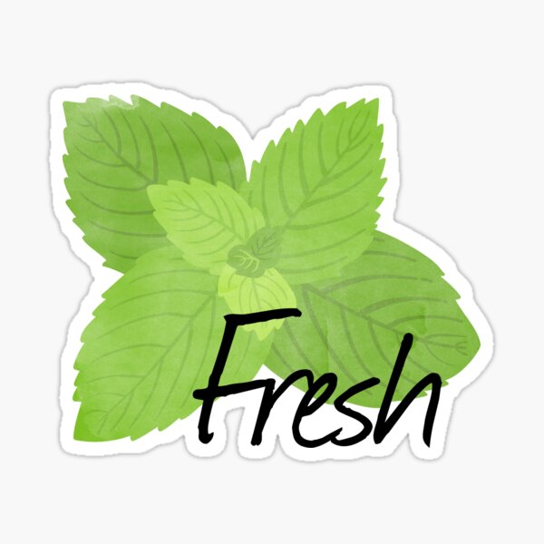 "Minty Fresh" Sticker for Sale by ambermallow | Redbubble