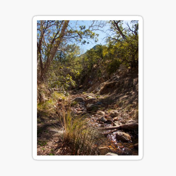 "Hiking in Madera Canyon, Arizona" Sticker for Sale by GVAZDesigns ...