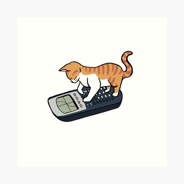 "Calculating Cat" Art Print by JoostLover67 | Redbubble