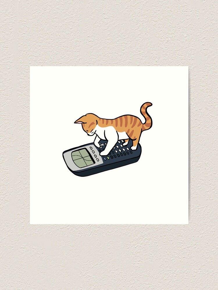 "Calculating Cat" Art Print by JoostLover67 | Redbubble