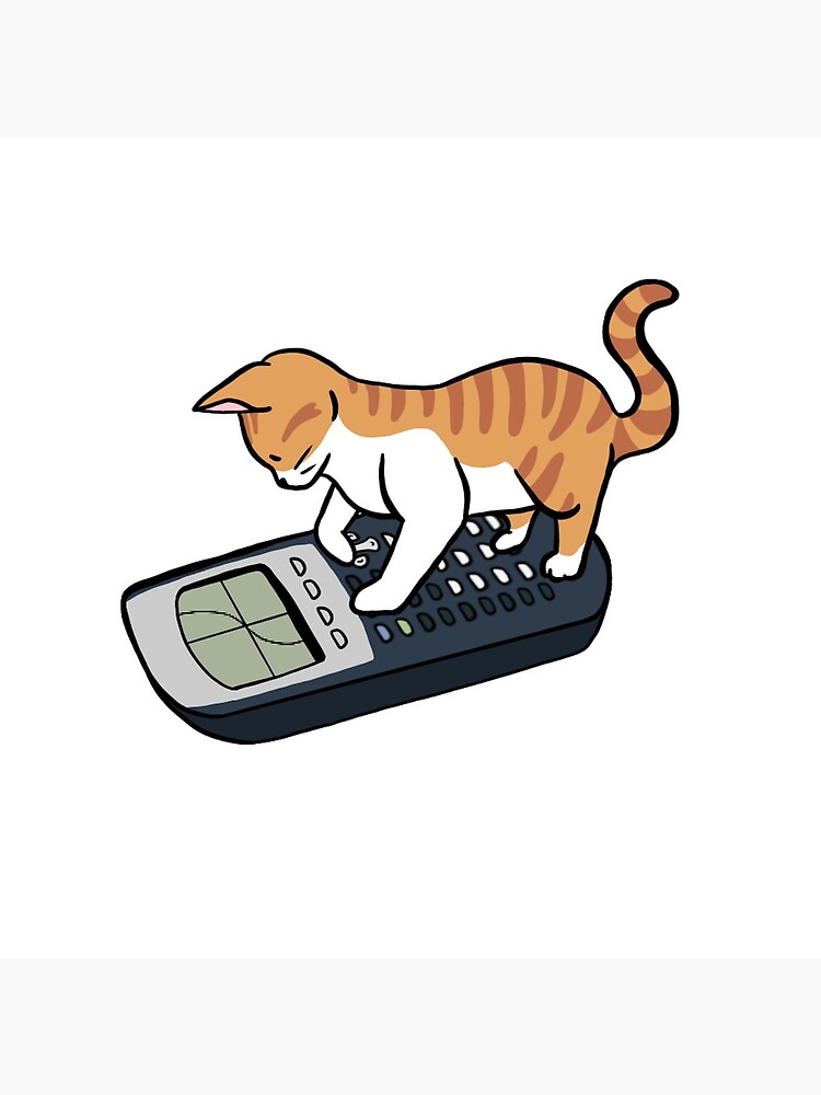 "Calculating Cat" Art Print by JoostLover67 | Redbubble