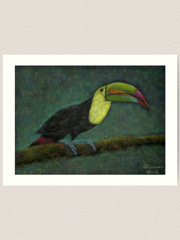 "Keel-billed Toucan" Art Print by shannon-stark | Redbubble