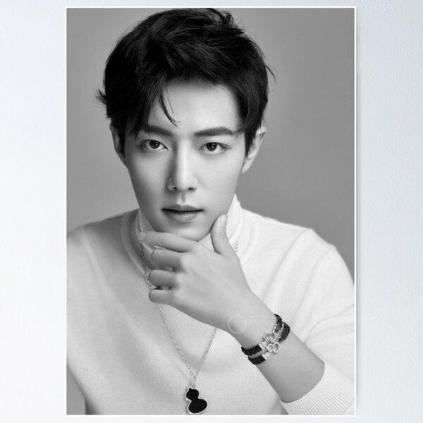 "Xiao Zhan " Poster for Sale by Pricklypandaliz | Redbubble