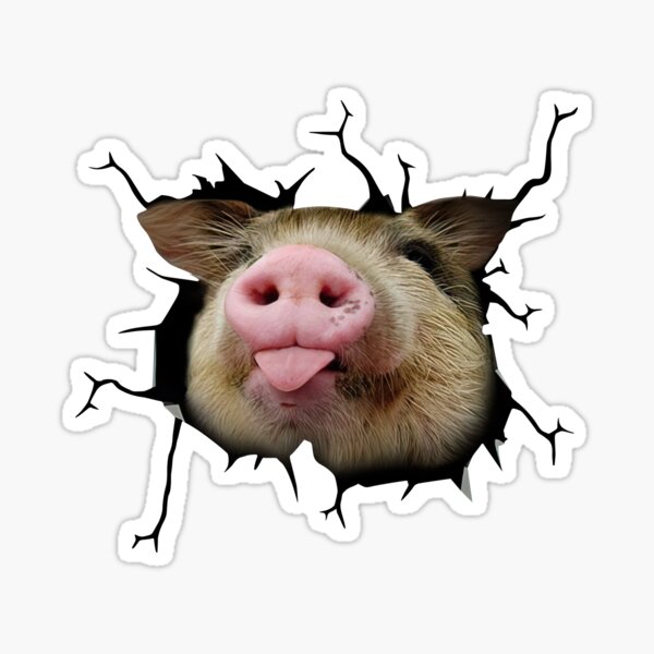 "Piggy Crack Gift Funny Pig Gift Pig In The Wall 3D" Sticker for Sale ...