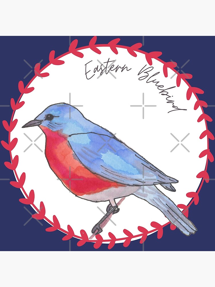 "Eastern Bluebird bird species logo bird art" Poster by TheWaterBirds ...
