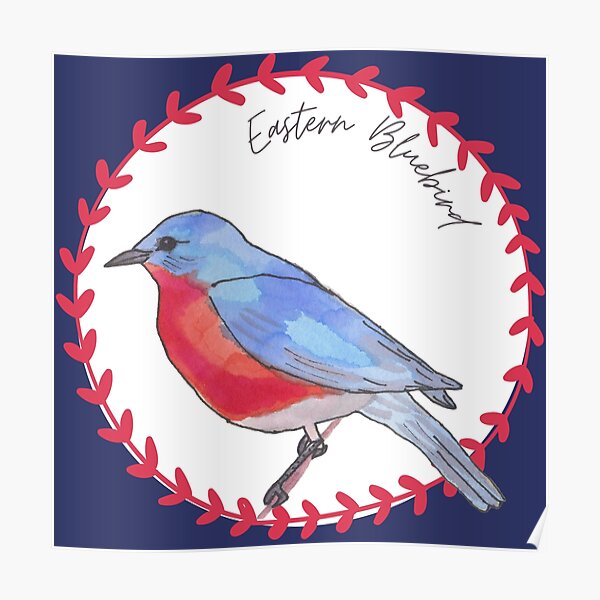 "Eastern Bluebird bird species logo bird art" Poster by TheWaterBirds ...