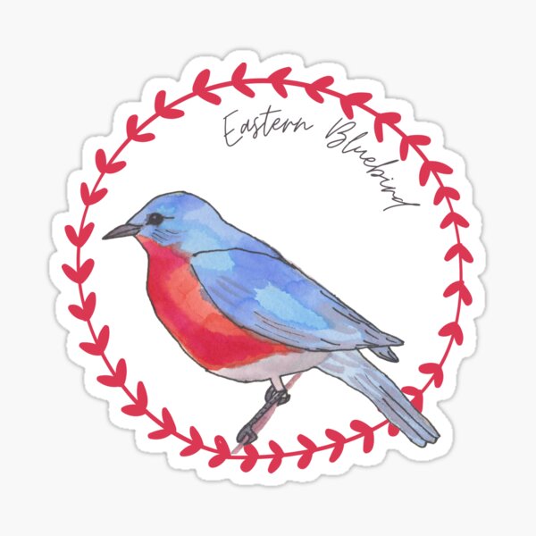 "Eastern Bluebird bird species logo bird art" Sticker for Sale by ...