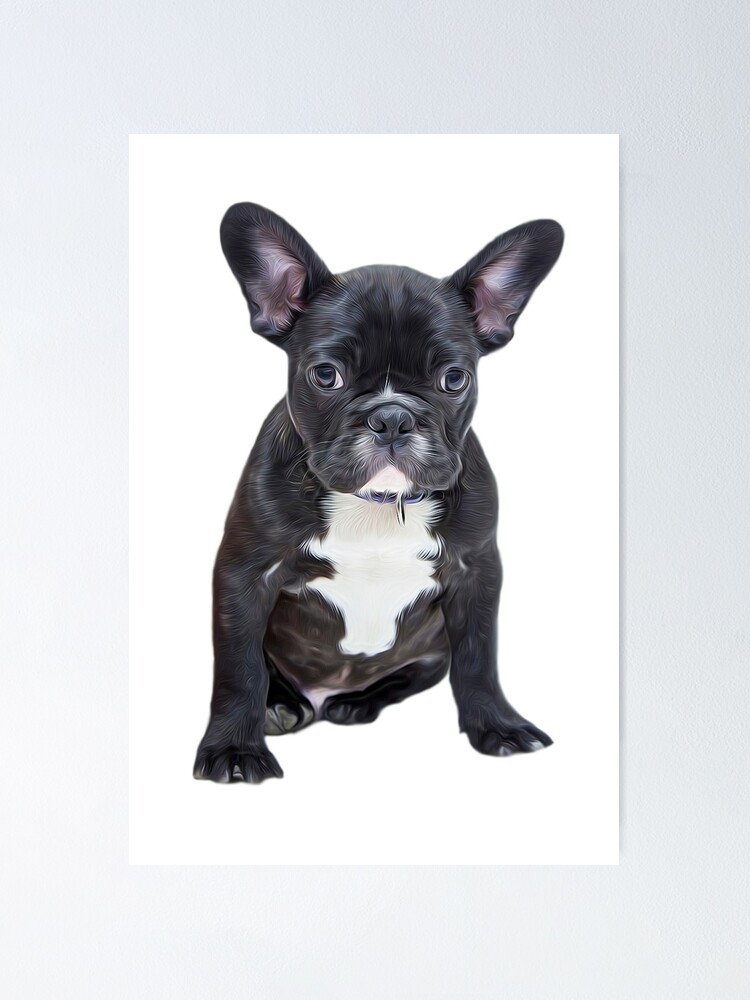 "Digital black dog art" Poster for Sale by BinstuffArt | Redbubble