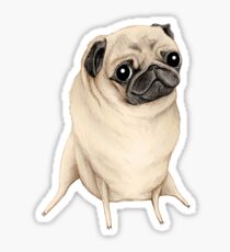 Fat Pug Stickers | Redbubble