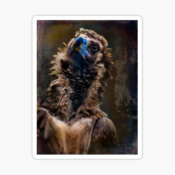 "Magellan Redux" Sticker by alanshapiro | Redbubble