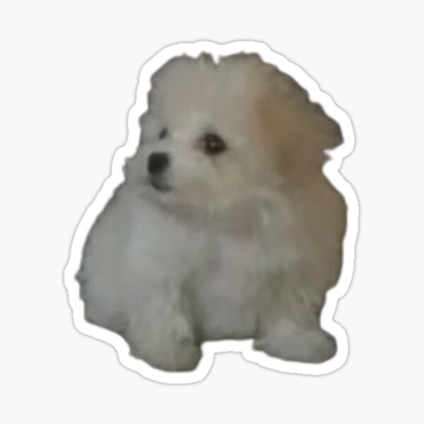 "nct dream daegal " Sticker for Sale by wwjkhsk | Redbubble