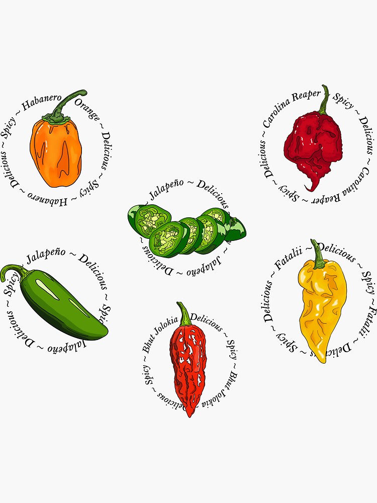 "Chili Pepper Sticker Set 3" Sticker for Sale by mojocoffeetime | Redbubble