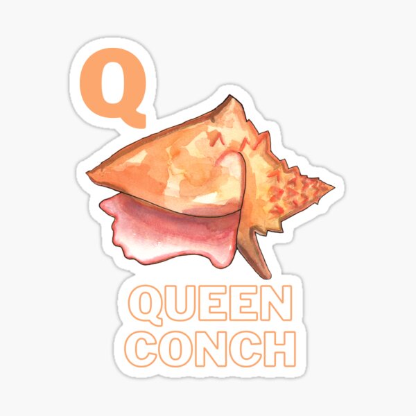 "Queen Conch Starts with Q Ocean Animals Alphabet Letter Q" Sticker for ...