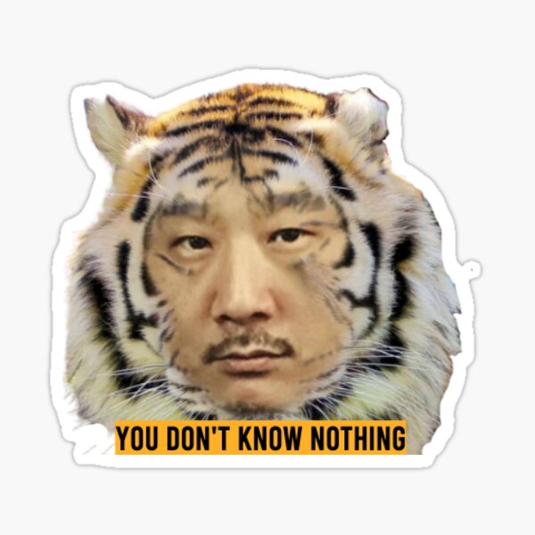 "Tigerbelly - You Don't Know Nothing" Sticker for Sale by jgoody ...