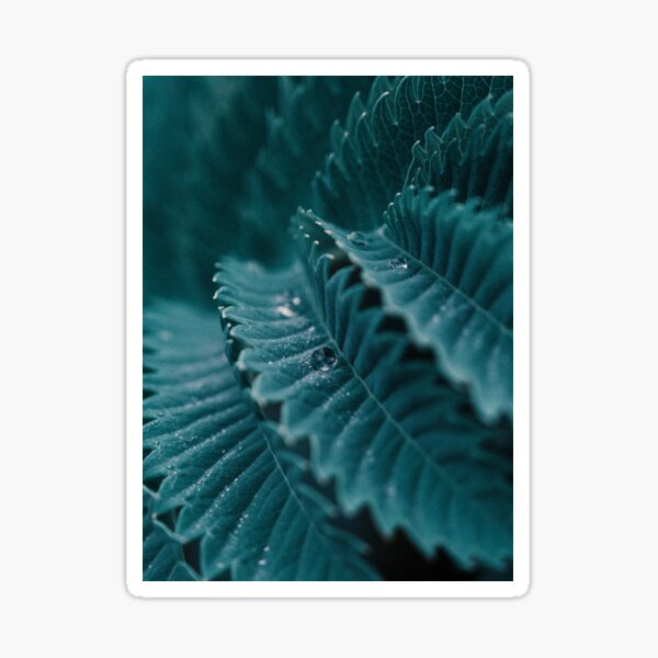 "Jagged Edge" Sticker for Sale by worktheangle | Redbubble