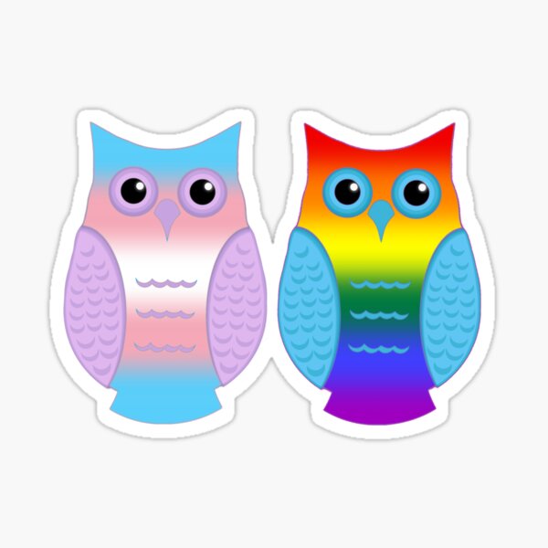 "Gay Trans Pride Owls" Sticker for Sale by shaneisadragon | Redbubble