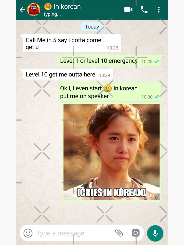 "Cries in Korean Funny WhatsApp Text Message" Sticker for Sale by ...