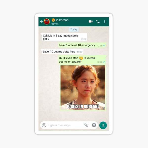 "Cries in Korean Funny WhatsApp Text Message" Sticker for Sale by ...