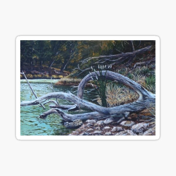 "Lake Surprise Mt Eccles Crater Lake, Victoria. " Sticker by JJCELLZ ...