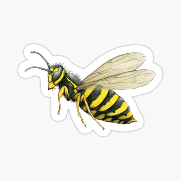 " Large wasp" Sticker by Bwiselizzy | Redbubble