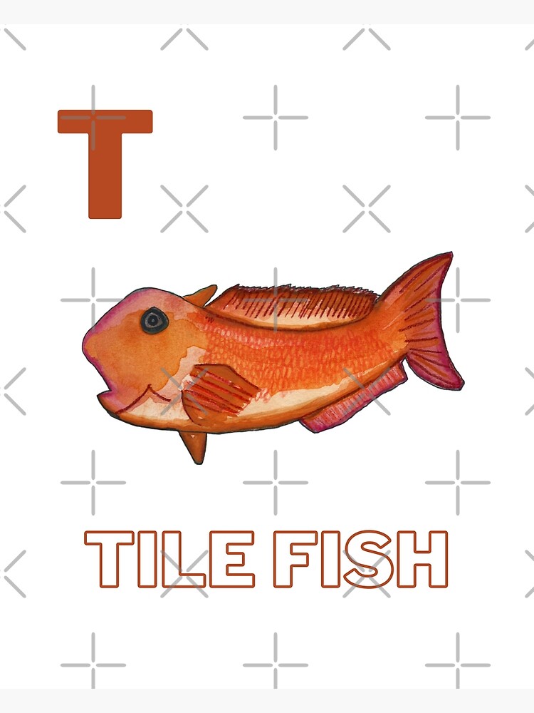 "Tile Fish Starts with T Ocean Animals Alphabet Letter T" Art Print by ...