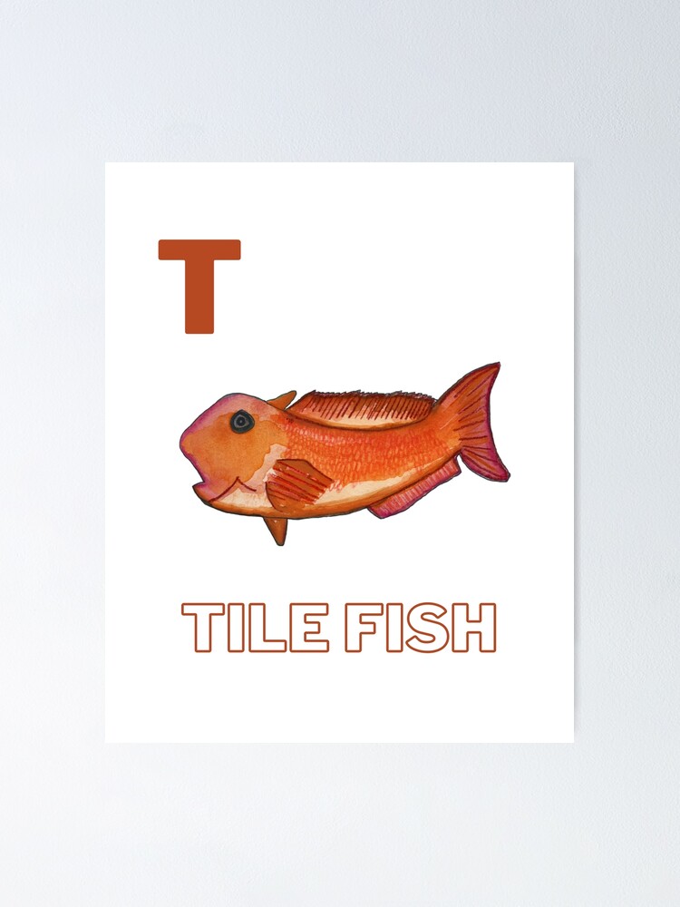 "Tile Fish Starts with T Ocean Animals Alphabet Letter T" Poster by ...