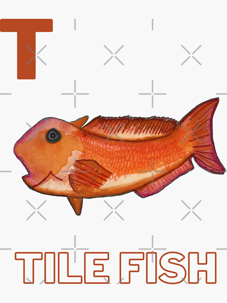 "Tile Fish Starts with T Ocean Animals Alphabet Letter T" Sticker for ...