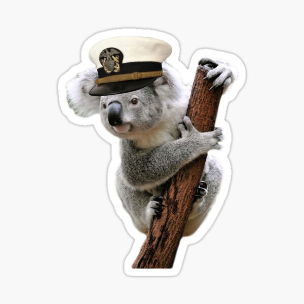"Captain Koala" Sticker by Orexion | Redbubble