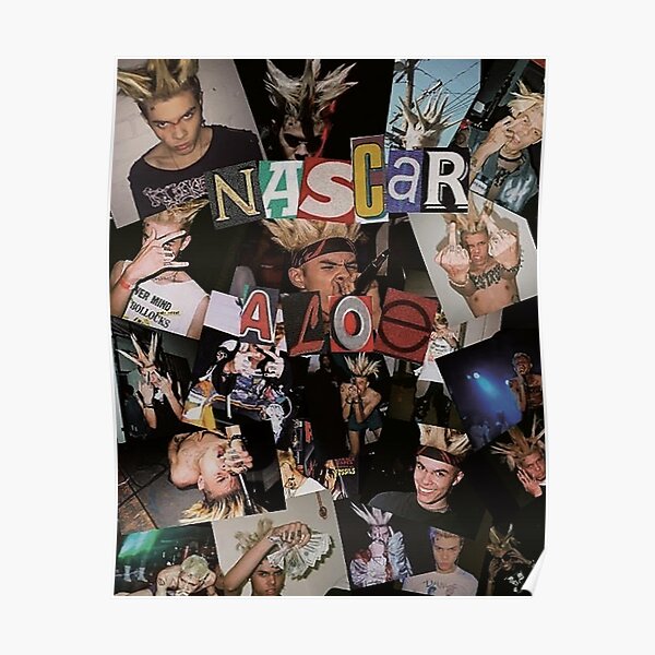 "NASCAR ALOE" Poster for Sale by nataaalka | Redbubble