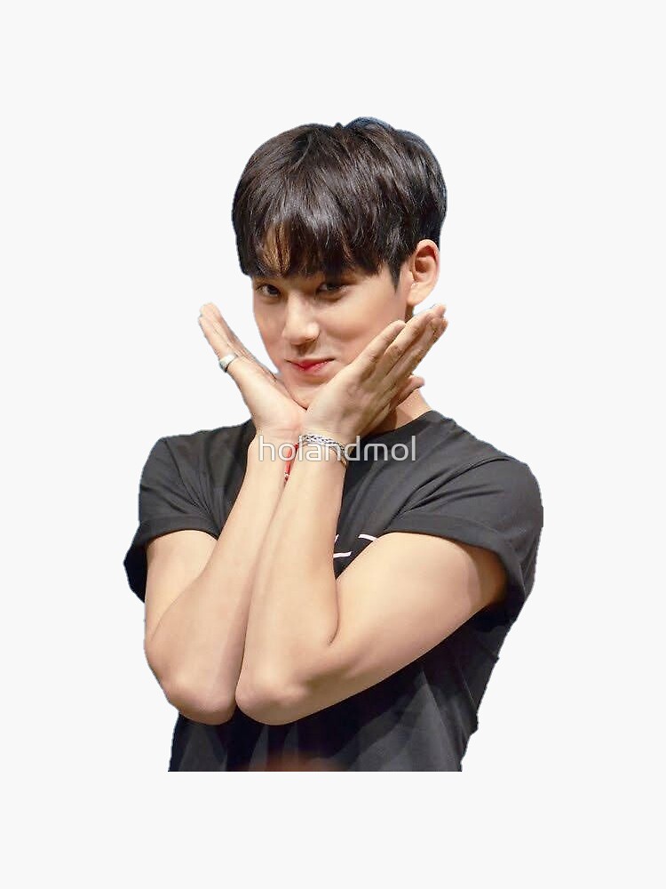 "Aegyo Mingyu SEVENTEEN" Sticker by holandmol | Redbubble