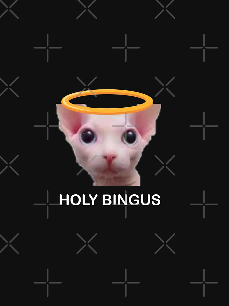 "holy bingus cat" T-shirt for Sale by Ashi17 | Redbubble | hairless cat ...