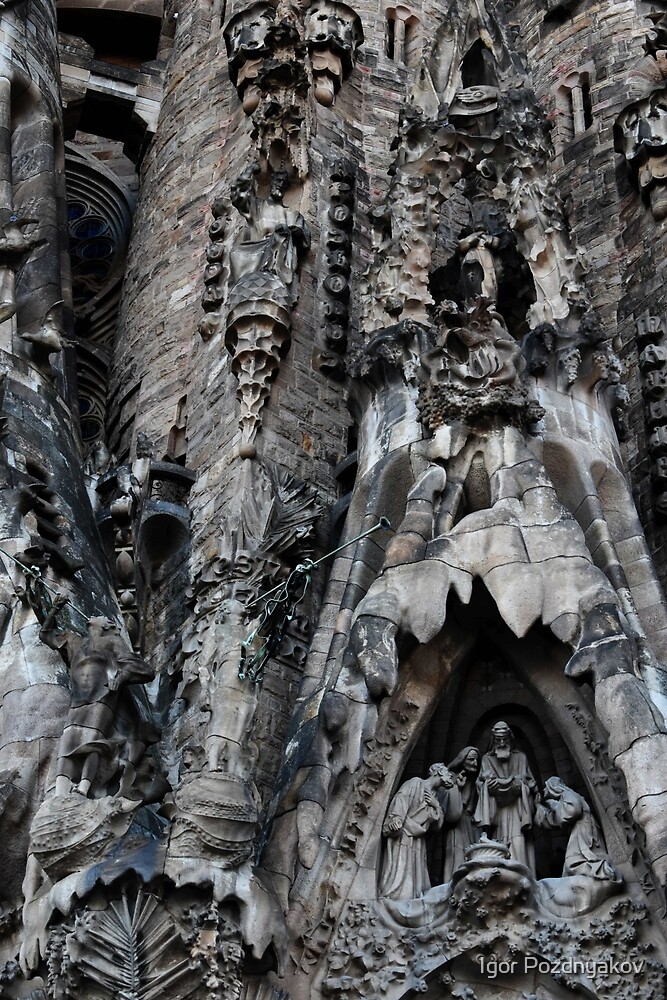 "Facade Detail, Sagrada Familia, Barcelona" by Igor Pozdnyakov | Redbubble