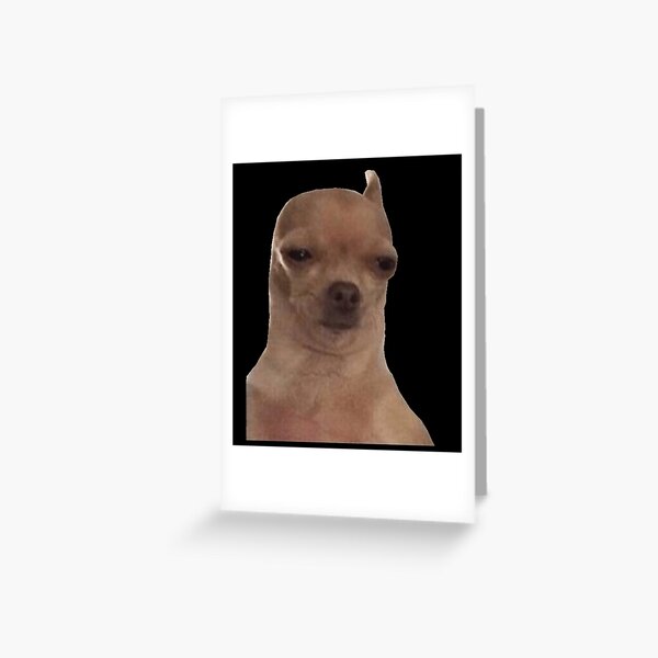 "Annoyed Chihuahua Dog Meme" Greeting Card by putonmemes | Redbubble