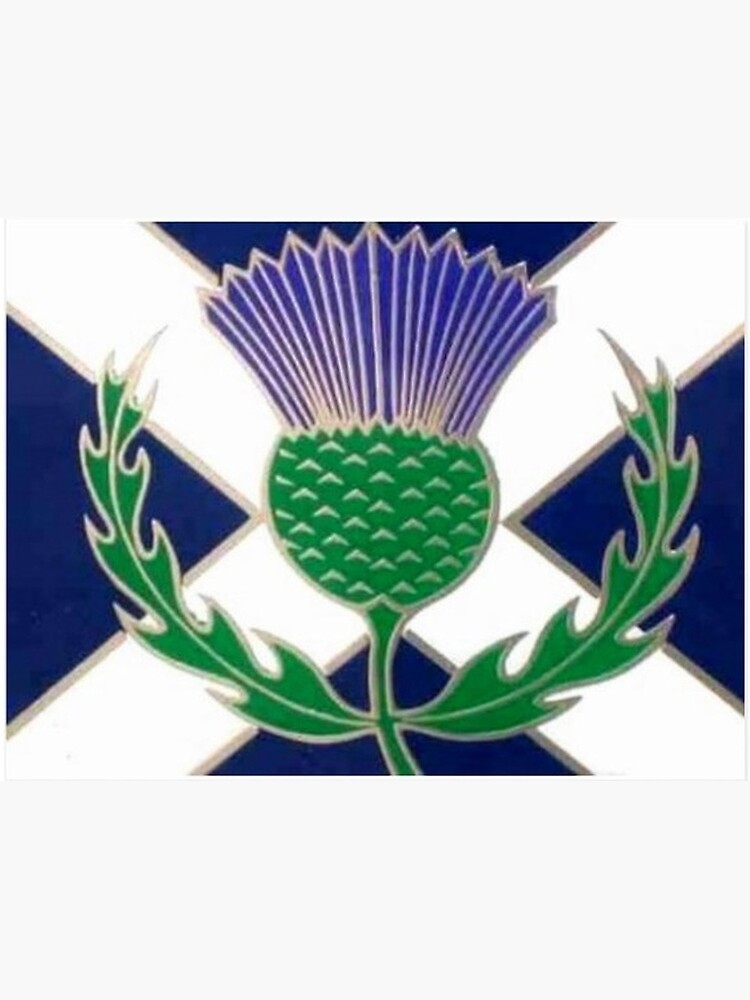 "Flag of Scotland and Thistle " Art Print for Sale by RBEnt | Redbubble
