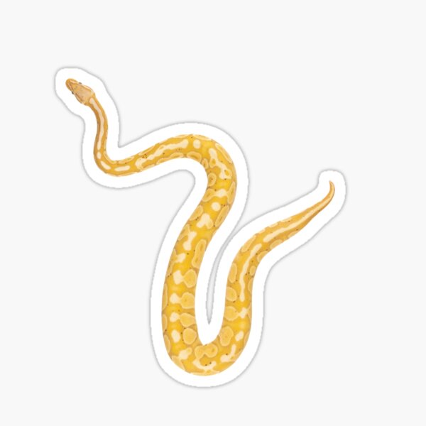 "Ball Python - Banana pastel" Sticker for Sale by ThorHakonsen | Redbubble