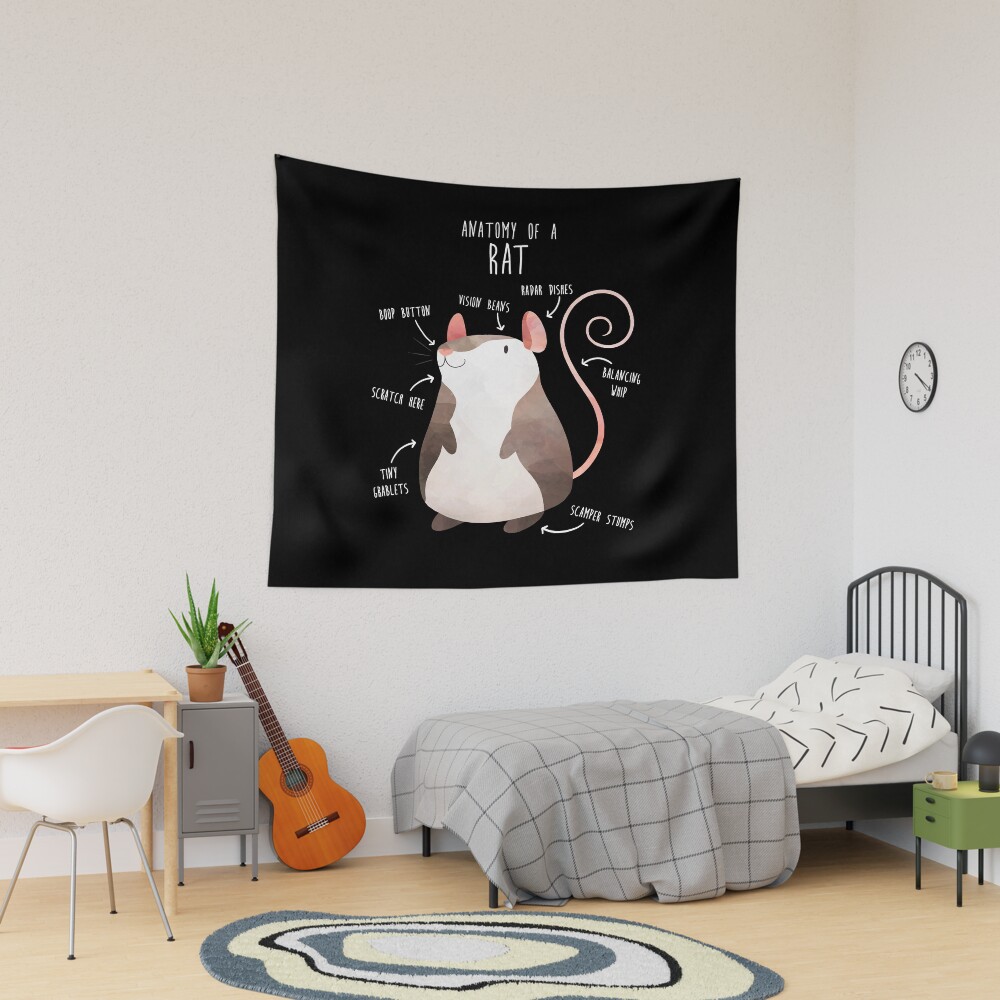 "Anatomy of a Rat" Poster for Sale by Psitta | Redbubble