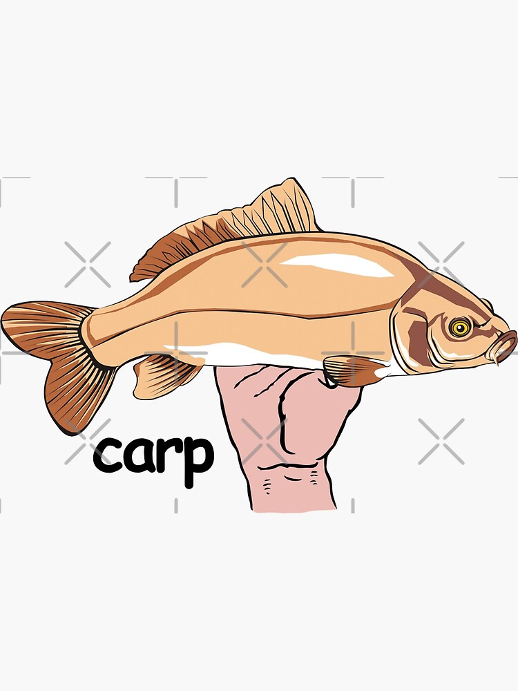 "Carp Meme" Sticker for Sale by Altohombre | Redbubble