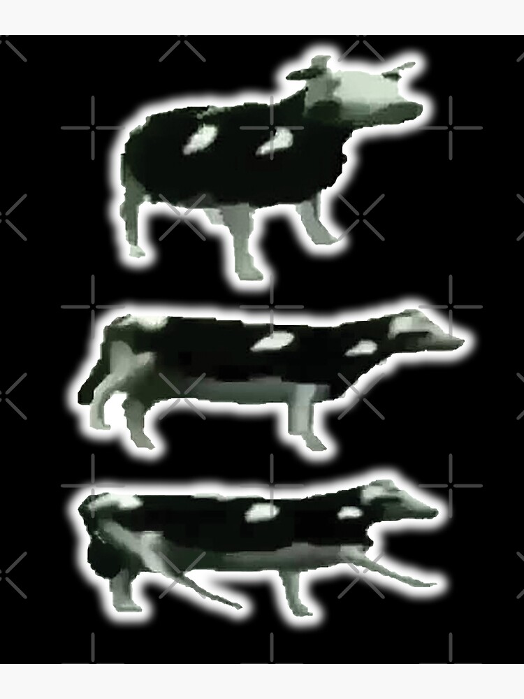 "Dancing Polish Cow Meme" Metal Print by Altohombre | Redbubble