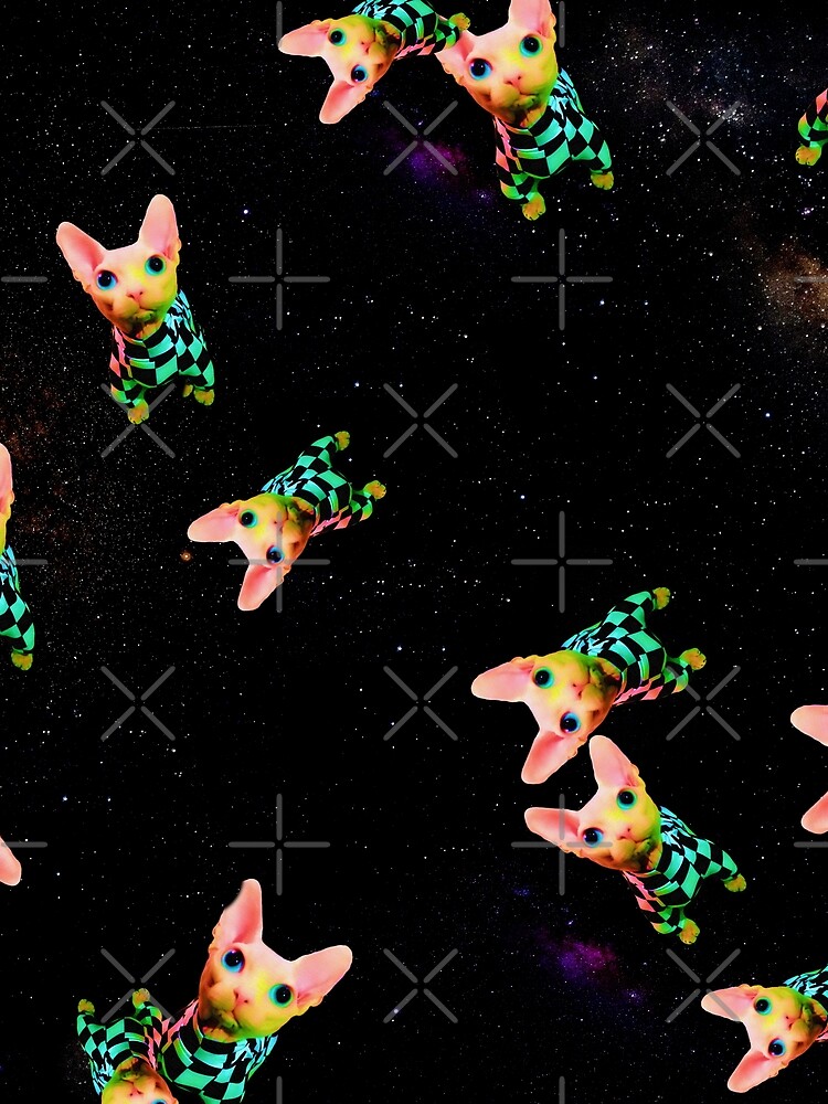 "Bingus Floating in Space" T-shirt for Sale by cannevas | Redbubble ...