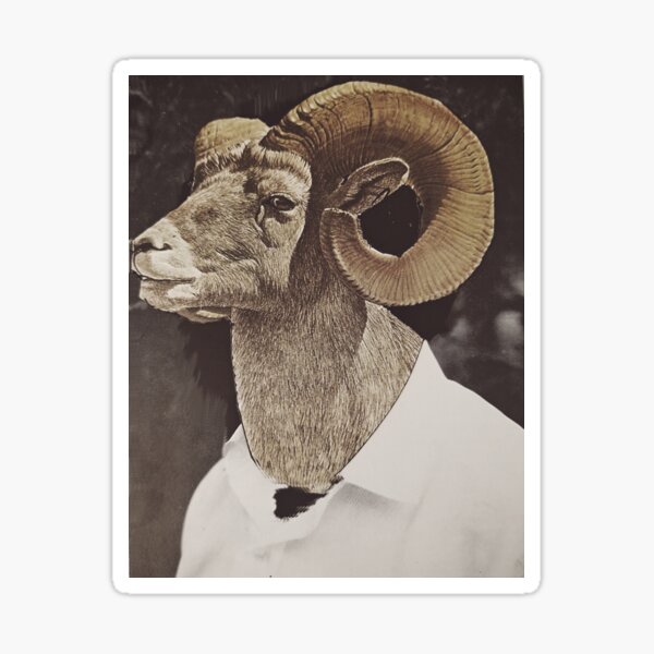 Michelle Tabor Shop | Redbubble