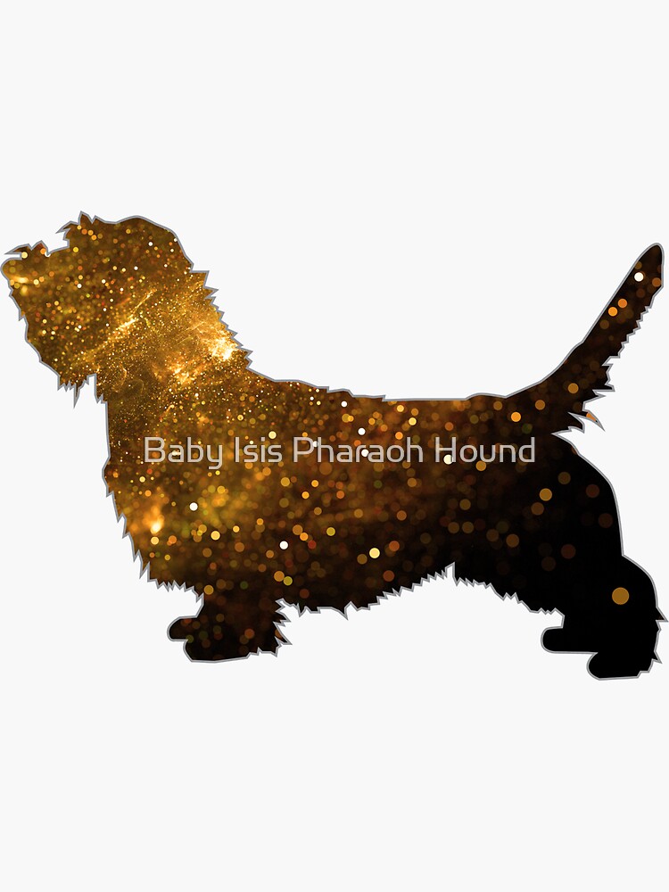 Pbgv Merch & Gifts for Sale | Redbubble